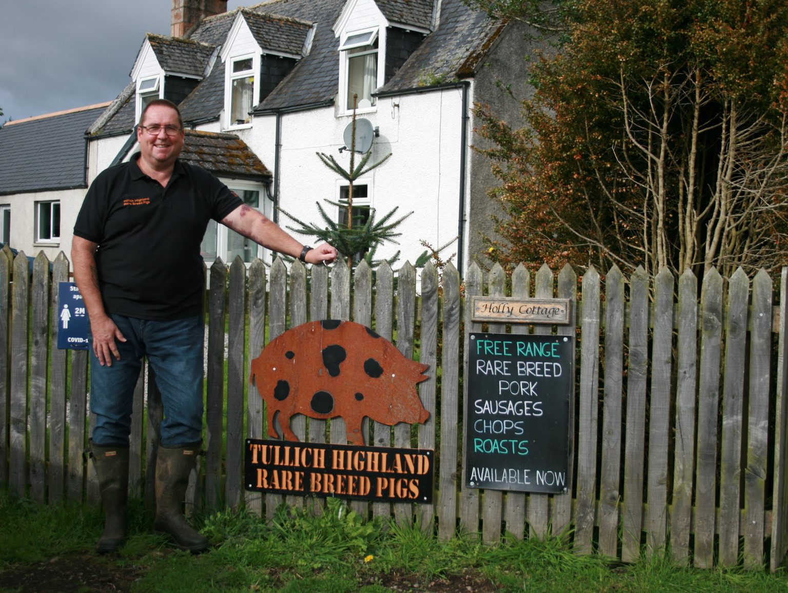 Tullich Highland – Rare Breed Pigs